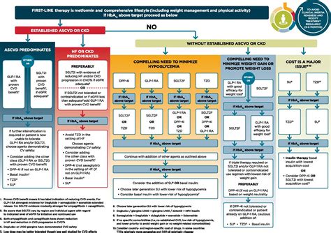 Diabetes Guidelines 2024 Algorithm Lanna Mirilla