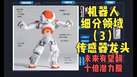 传感器龙头企业—机器人板块细分领域（3）未来有望翻10倍潜力股 Youtube