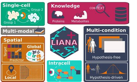 Rong Fan Posted On Linkedin