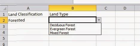 The Excel Evangelist Conditional Data Validation