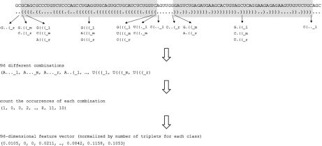 An Overview Of The Workflow To Extract Different Nucleotide Structure Download Scientific