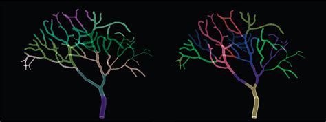 9 Parallel Simulations — Stochastic Engine For Pathway Simulation 503 Documentation
