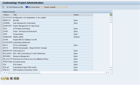SPRO ADMIN SAP Tcode Customizing Project Management