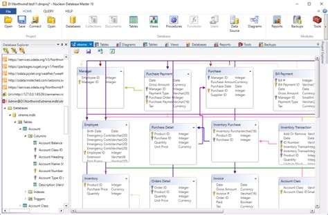 nucleon software business intelligence data science big data