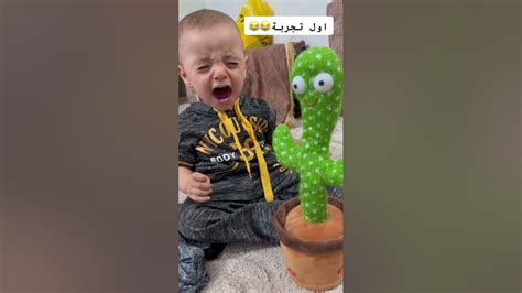 اسباب بازی های ناز کاکتوس سخنگو برای بچه ها Youtube