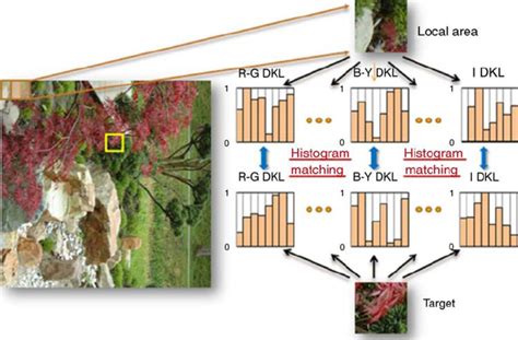 Computing Similarity Landscapes For Individual Feature Dimensions