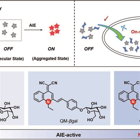 Dual Mode Probes With Aie Active Fluorescence And Enriched Download Scientific Diagram