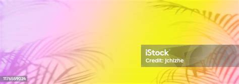여름 여행 컨셉 이국적인 야자수 잎의 그림자 트렌디 한 네온 색상 복사 공간이 있는 무지개 그라데이션 배경입니다 배너 개념에 대한 스톡 사진 및 기타 이미지 Istock