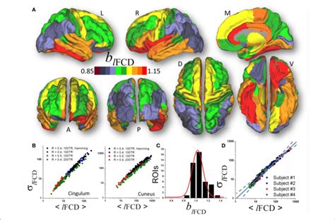 A Average Scaling Exponent B L Fcd For The Temporal Dynamics Of