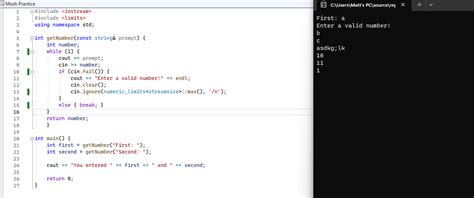 Handling Input Errors While Loop Not Working C Code With Mosh Forum