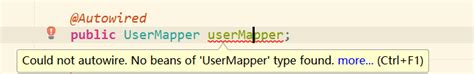 小记：idea中springboot无法自动装配could Not Autowire No Beans Of Usermapper