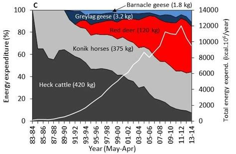 Population Development Of Large And Small Herbivores A Population Download Scientific Diagram