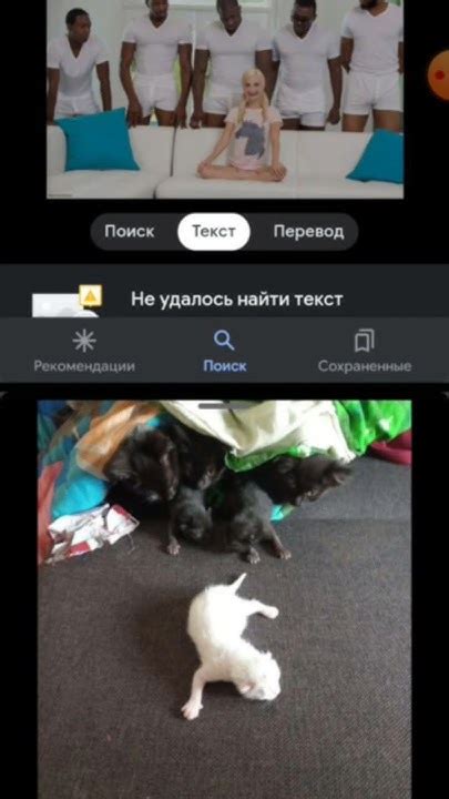 отсылка💀💀💀💀 Youtube