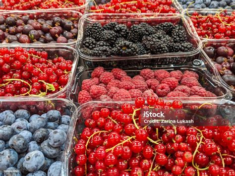 다양한 여름 딸기 라즈베리 블랙베리 레드 커런트 구스베리 블루베리 0명에 대한 스톡 사진 및 기타 이미지 0명 개체 그룹 건강한 식생활 Istock