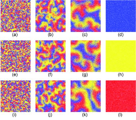 Representative Snapshots Of Species Distribution On The Lattice For R