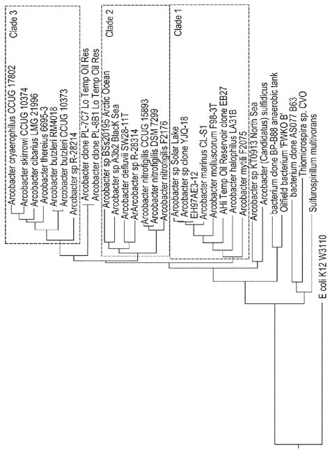 methods strains and compositions useful for microbially enhanced oil