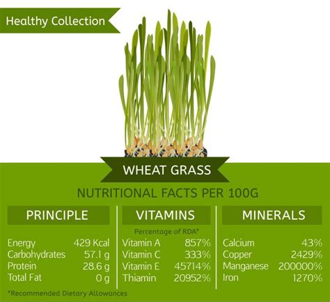 व्हीटग्रास जूस के फायदे और नुकसान Wheatgrass Juice Benefits And Side