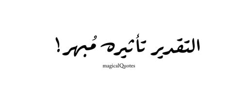 nouran hossam on linkedin true