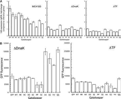 Expression Profiles In Deletion Strains For Dnak And Trigger Factor