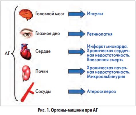 Что приводит к повышению альдостерона by taganat medium