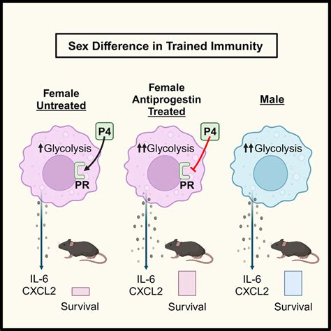 Lower Female Survival From An Opportunistic Infection Reveals Progesterone Driven Sex Bias In