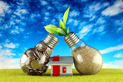 전구 안의 동전 전구 안에서 자라는 식물 미니어처 하우스 녹색 에코 재생 에너지 개념입니다 전기 가격 가정의 에너지 절약 0명에 대한 스톡 사진 및 기타 이미지 Istock