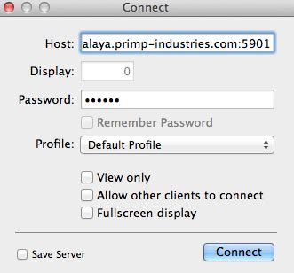 Using A VNC Client To Connect To VMs In ESXi