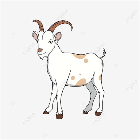 Cartoon Goat Drawing