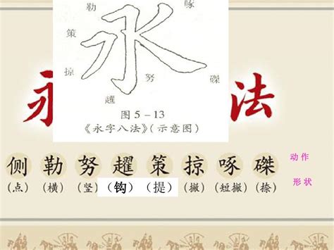 硬笔楷书八个基本笔画 word文档在线阅读与下载 免费文档