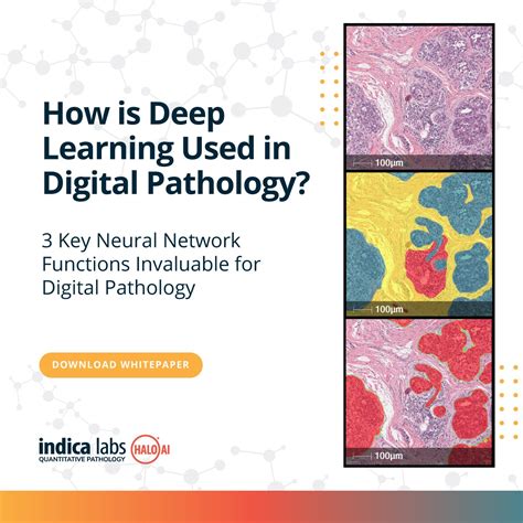 Hans Zoellner On Linkedin Whitepaper Demystifying Digital Pathology