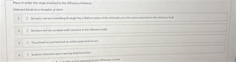 Solved Place In Order The Steps Involved In The Olfactory