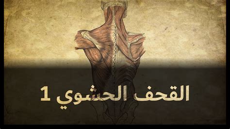 تشريح 3 القحف الحشوي 1 العظم الدمعي Youtube