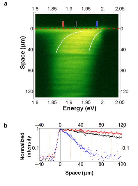 Polariton Propagation A Propagation Of The Bswp After Filtering In