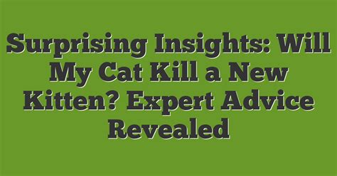 Surprising Insights Will My Cat Kill A New Kitten Expert Advice Revealed
