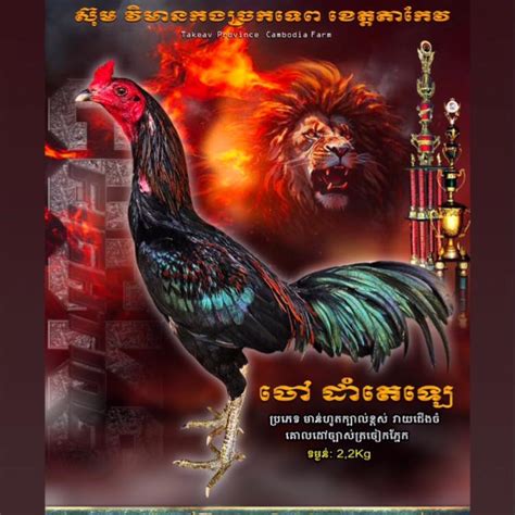 ស៊ុម នាគខ្មៅ ត្រាំកក់ ពី