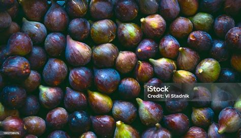 무화과의 배경 파란색에서 샐러드까지 모든 색조 훌륭한 식료품 점 광고 열매의 유혹 배너 상단 보기 무화과에 대한 스톡 사진 및 기타 이미지 Istock