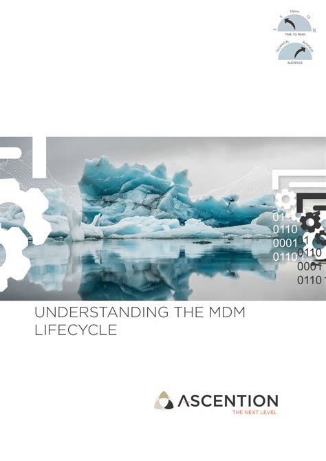 Pdf Understanding The Mdm Lifecycle · 2019 11 27