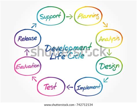 Circular Flow Chart Life Cycle Development Stock Vector Royalty Free