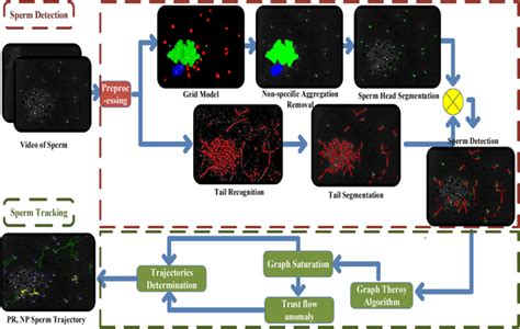 A Schematic Block Diagram Representing The Proposed Methodology For Download Scientific Diagram