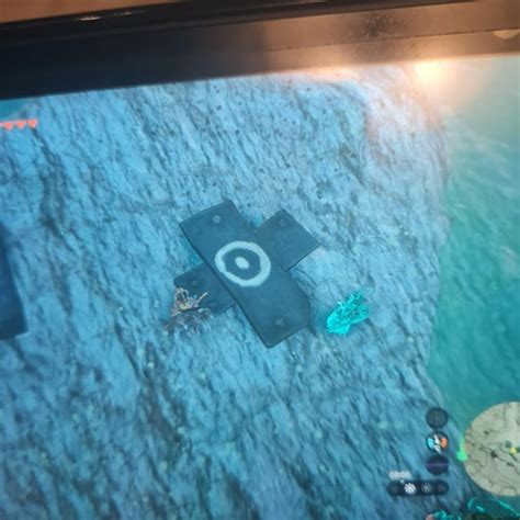 Do These Do Anything Or Is It Just Decoration R Totk