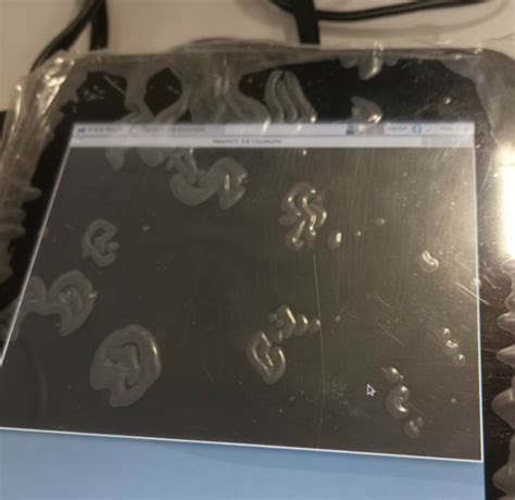 关于 Opengl 与 Egl 的理解 看星星的派大星 博客园