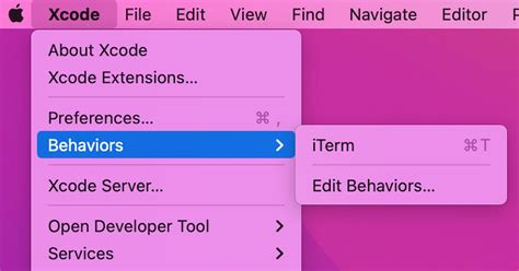 open your terminal from xcode
