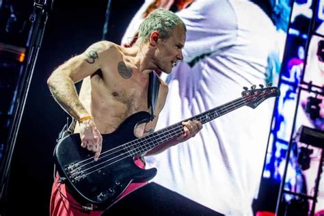 Rhcp Argentina On Twitter A 9 Años De La Presentación De Red Hot Chili Peppers En El Primer