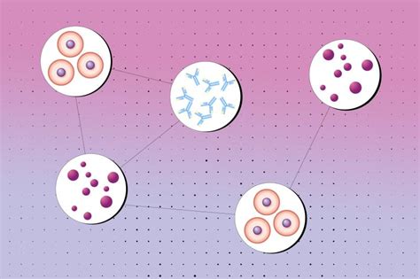 Sunalei On Linkedin A New Approach To Modeling Complex Biological Systems