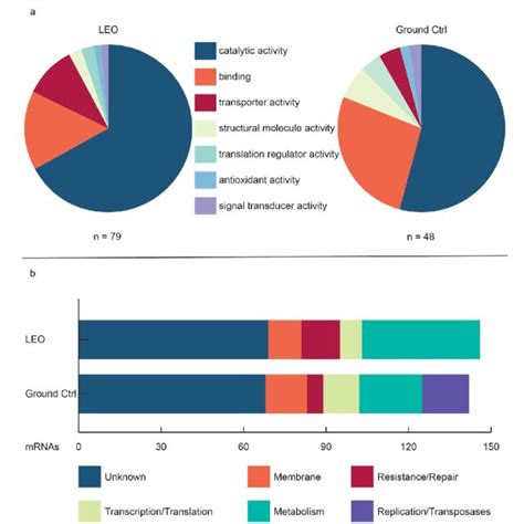 Annotation Of Statistically Relevant Proteomic And Transcriptomic Data