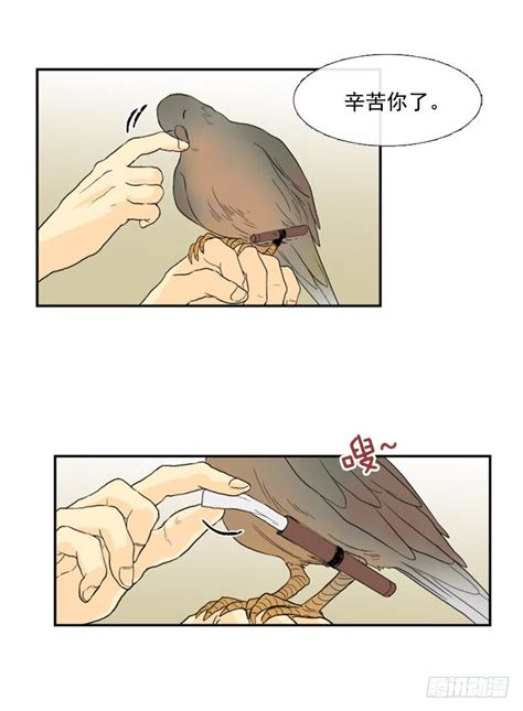 飛鴿傳書 學士再生 包子漫畫