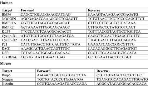 Oligonucleotide Primers Used And Their Sequence Download Scientific