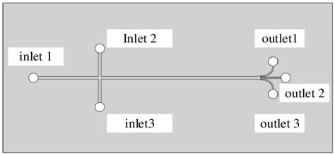 Schematic Diagram Of Designed Hydrodynamic Focusing Microfluidic Chip Download Scientific Diagram