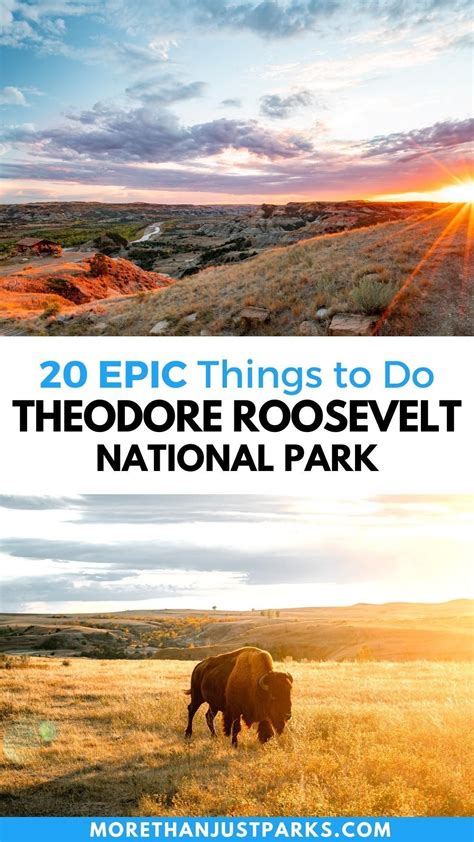 20 Epic Things To Do In Theodore Roosevelt National Park