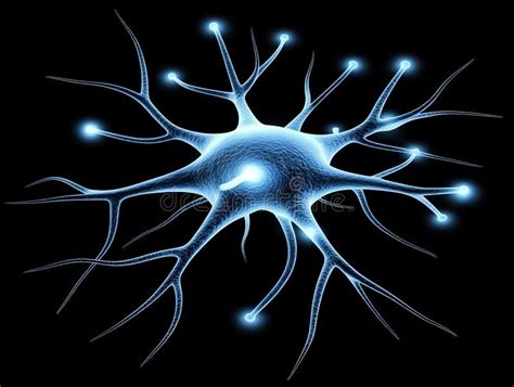 single neuron illustration with branching dendrites and central axon